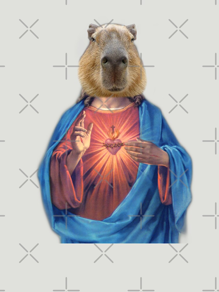 "Capybara Jesus" T-shirt for Sale by PopPunkFairyy | Redbubble ...