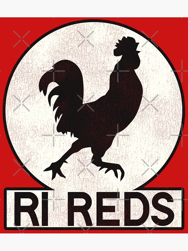 "Rhode Island Providence Reds Retro Defunct Ice Hockey" Poster for Sale ...