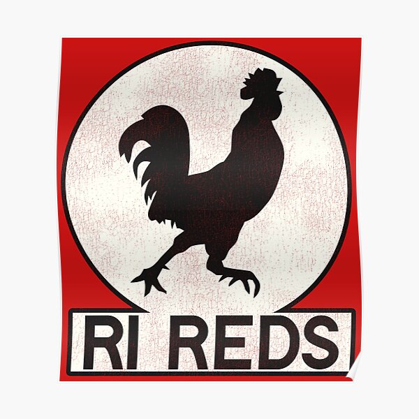 "Rhode Island Providence Reds Retro Defunct Ice Hockey" Poster for Sale ...