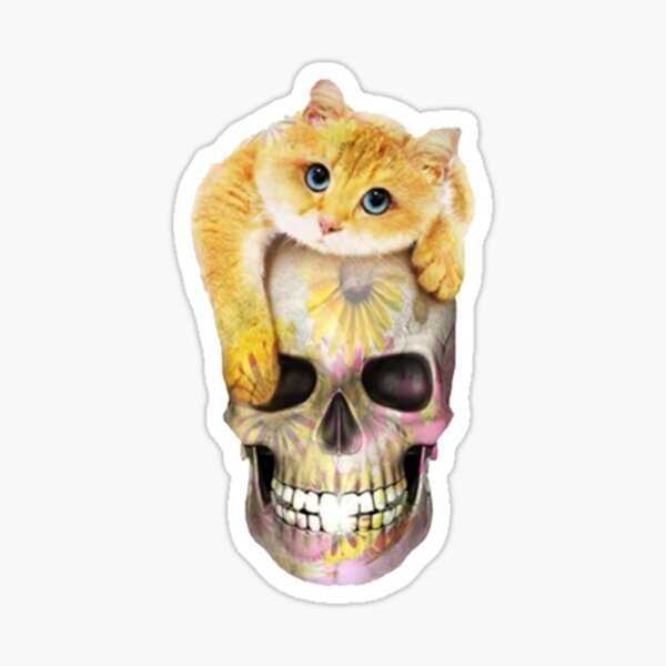 "cat with skull - funny cat " Sticker for Sale by Dazzle-TeesUS | Redbubble