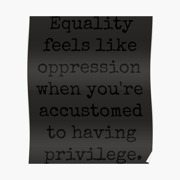 "EQUALITY OPPRESSION PRIVILEGE " Poster for Sale by cuzcoboelke0 ...