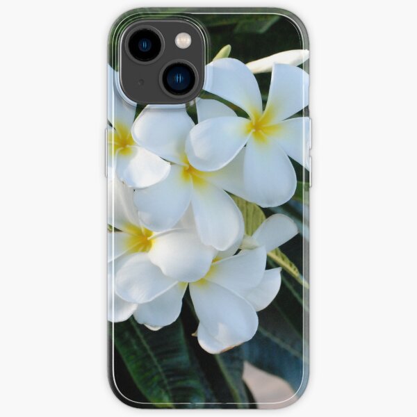 "Frangipani or Yellow and White Plumeria flowers, Barbados, WI " iPhone Case for Sale by zwrr16 ...