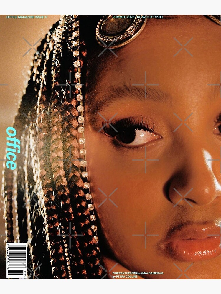 "PinkPantheress" Poster for Sale by leyllashop | Redbubble