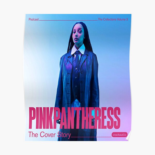 "PinkPantheress" Poster for Sale by leyllashop | Redbubble