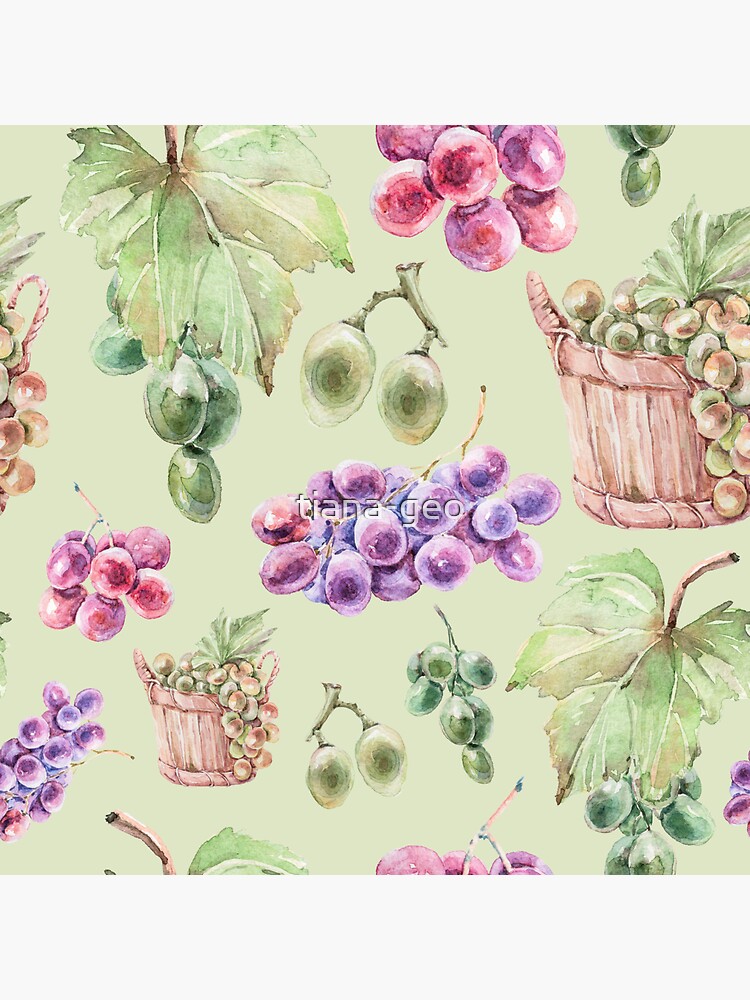 "Watercolor hand painted vine grape digital painting " Sticker for Sale ...