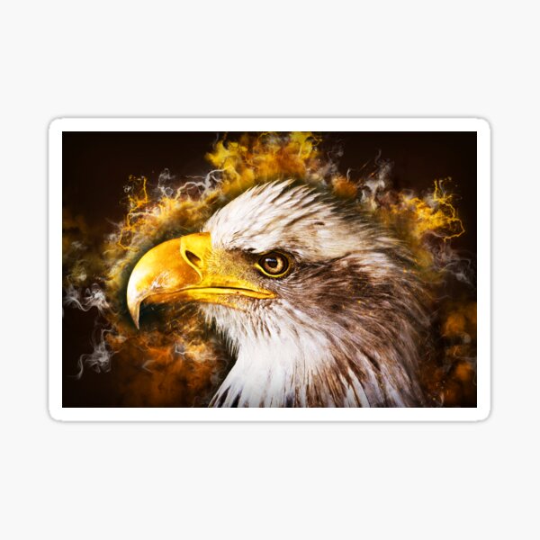 "Eagles Fury" Sticker for Sale by shutterbug2010 | Redbubble