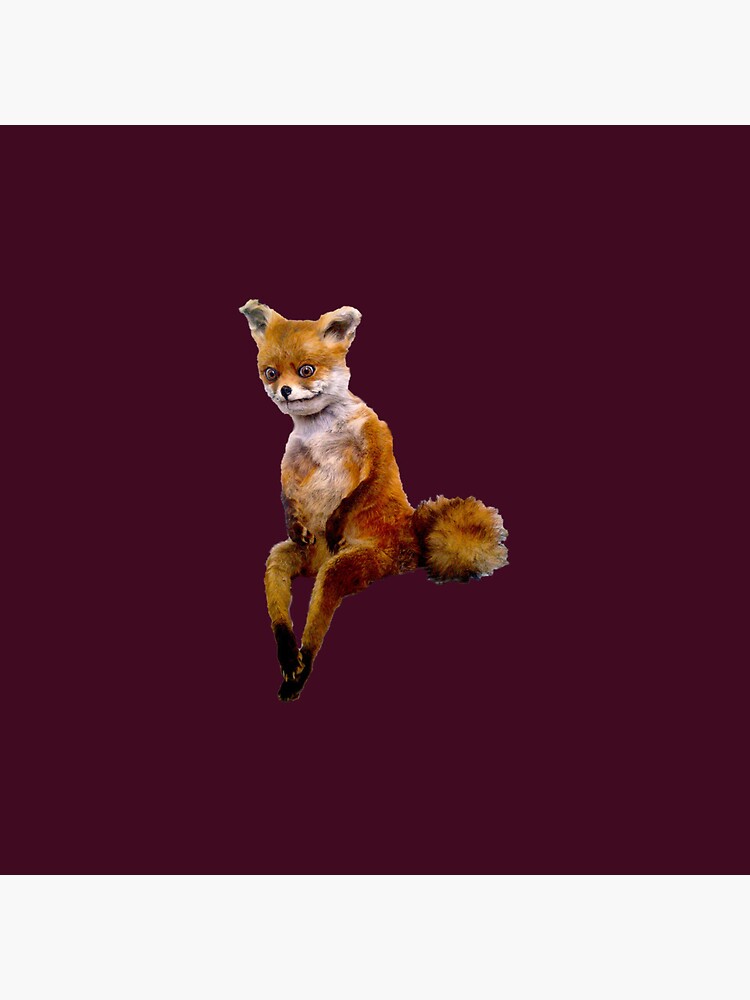 "Stoned fox the Taxidermy Fox Meme " Pin for Sale by Lar2ok | Redbubble