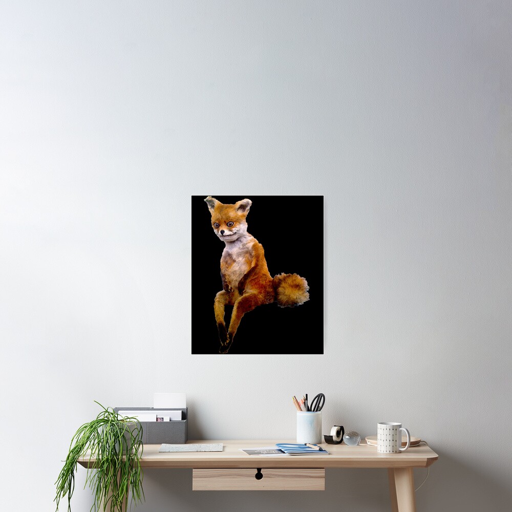 "Stoned fox the Taxidermy Fox Meme " Poster for Sale by Lar2ok | Redbubble