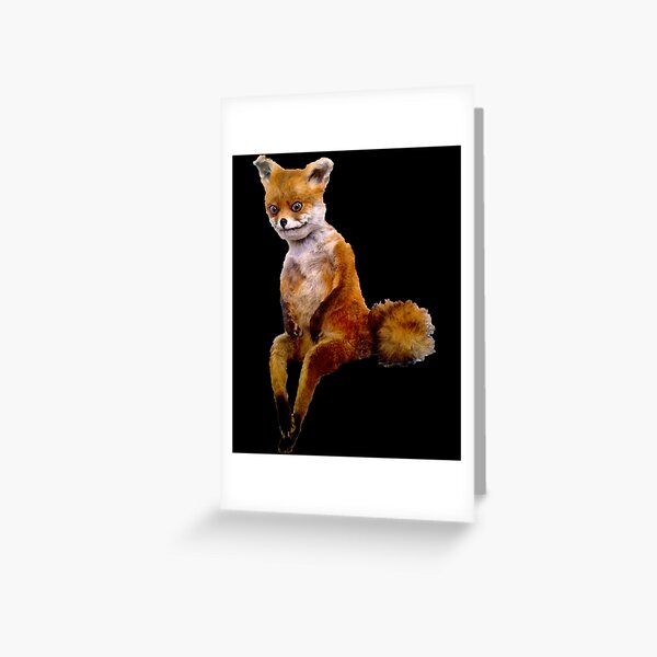 "Stoned fox the Taxidermy Fox Meme " Greeting Card for Sale by Lar2ok ...