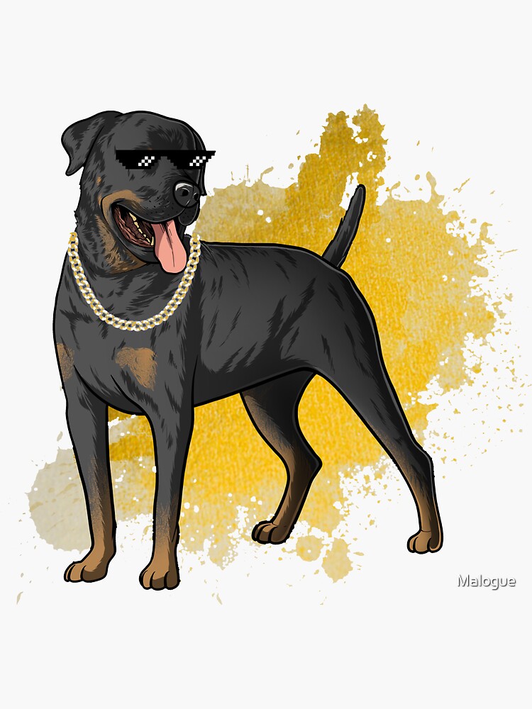 Pegatina «perro genial, perro rapero, ilustración de perro Rottweiler ...