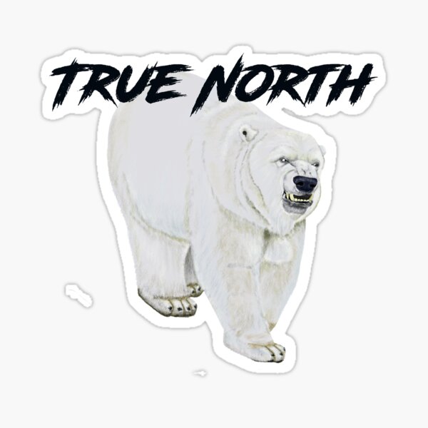 "Angry Polar Bear in the True North" Sticker for Sale by BrushesNature ...