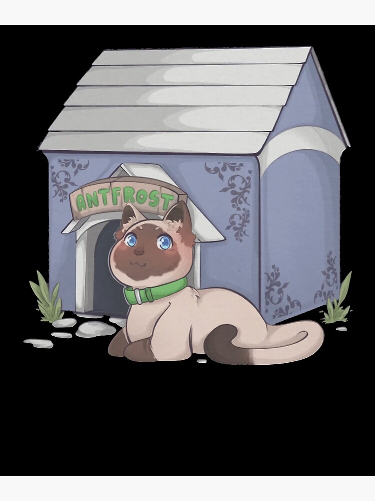 "antfrost - Cat House" Poster for Sale by Corietringer | Redbubble