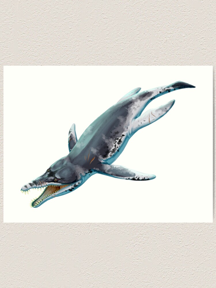 "Pliosaurus" Art Print for Sale by palaeoplushies | Redbubble
