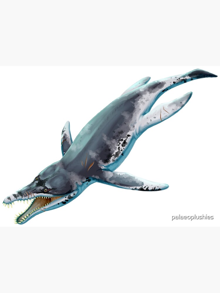 "Pliosaurus" Art Print by palaeoplushies | Redbubble