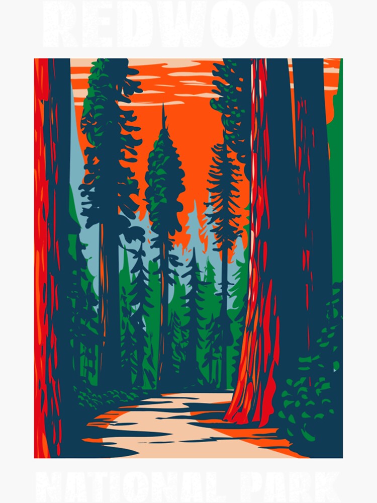 "Redwood National Park, Redwood Trees" Sticker for Sale by ercszur ...