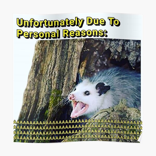 "Possum Meme" Poster for Sale by BossKey | Redbubble