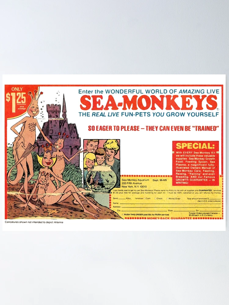 Sea Monkeys Advertisement