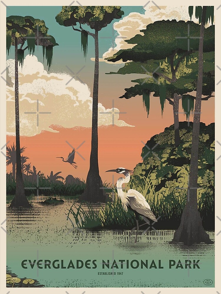 "everglades national parks" Poster for Sale by marlinrotroe | Redbubble