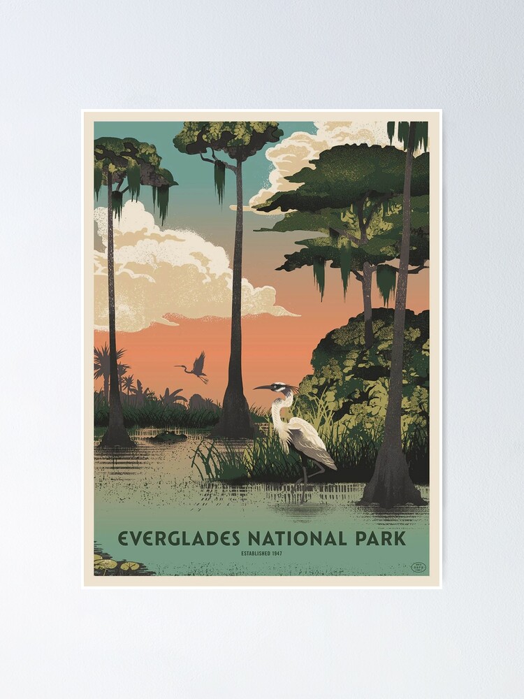 "everglades national parks" Poster for Sale by marlinrotroe | Redbubble
