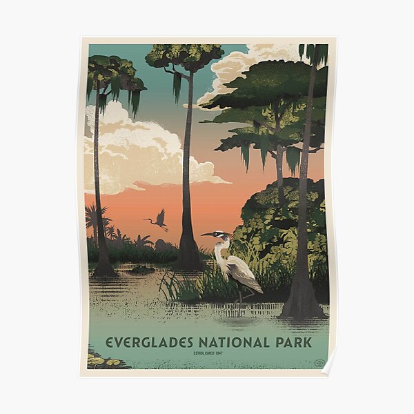 "everglades national parks" Poster for Sale by marlinrotroe | Redbubble