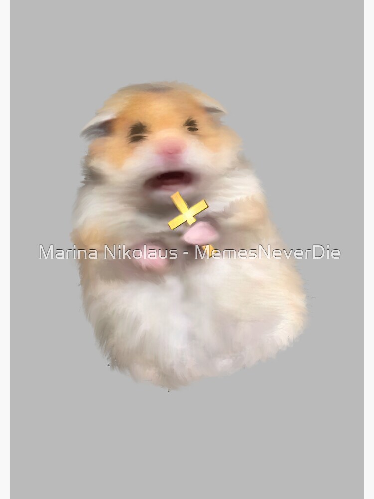 "Scared Hamster With Cross Meme- Funny Screaming Hampster Memes" Spiral ...