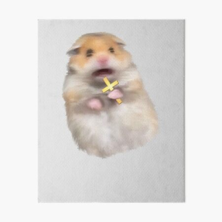 Lámina rígida «Hámster asustado con meme cruzado - Memes divertidos de ...