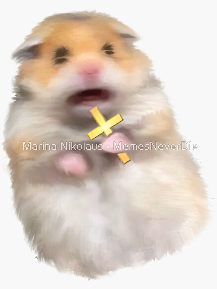 Pegatina «Hámster asustado con meme cruzado - Memes divertidos de ...