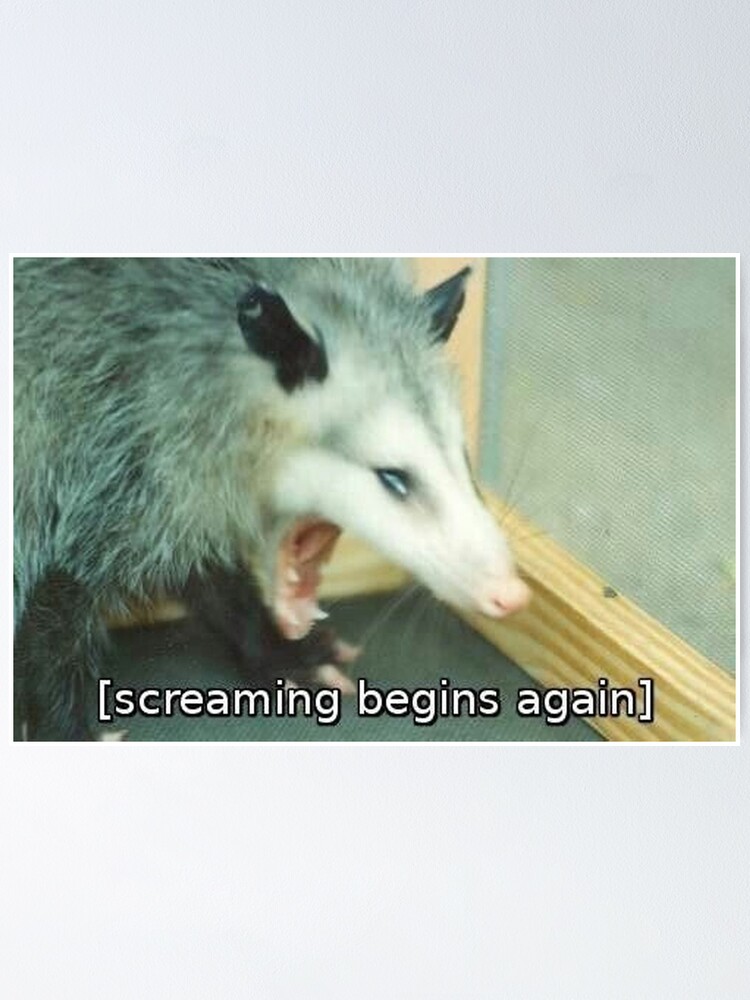 "Screaming Possum" Poster for Sale by BossKey | Redbubble
