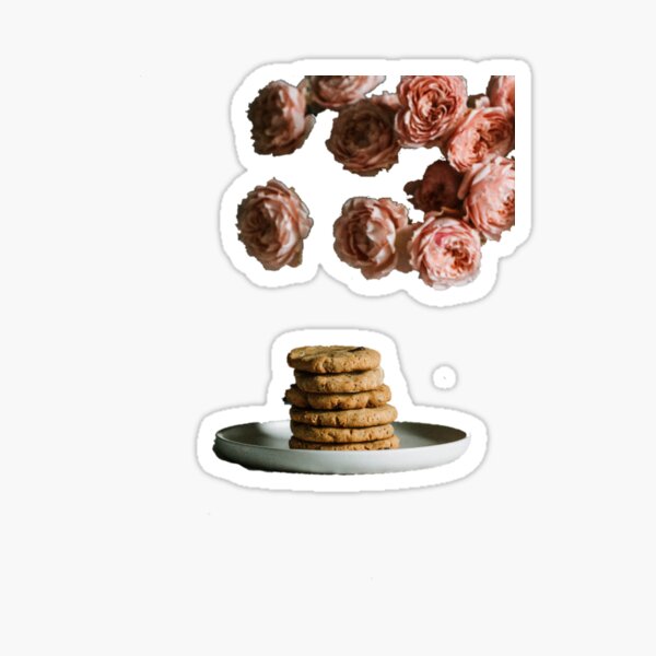 "Chocolate Chip Cookie " Sticker for Sale by NallojrR99 | Redbubble