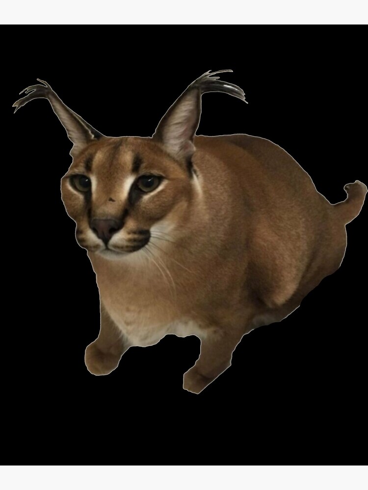 "floppa meme" Photographic Print for Sale by LGBTHUMAN | Redbubble