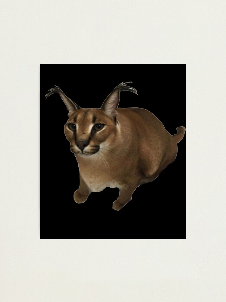 "floppa meme" Photographic Print for Sale by LGBTHUMAN | Redbubble