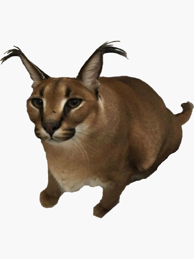 "floppa meme" Sticker for Sale by LGBTHUMAN | Redbubble