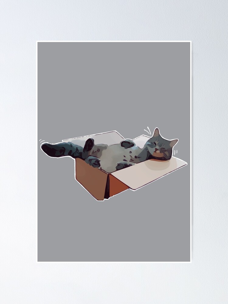 "Dozing tabby in a box" Poster for Sale by angelica-design | Redbubble