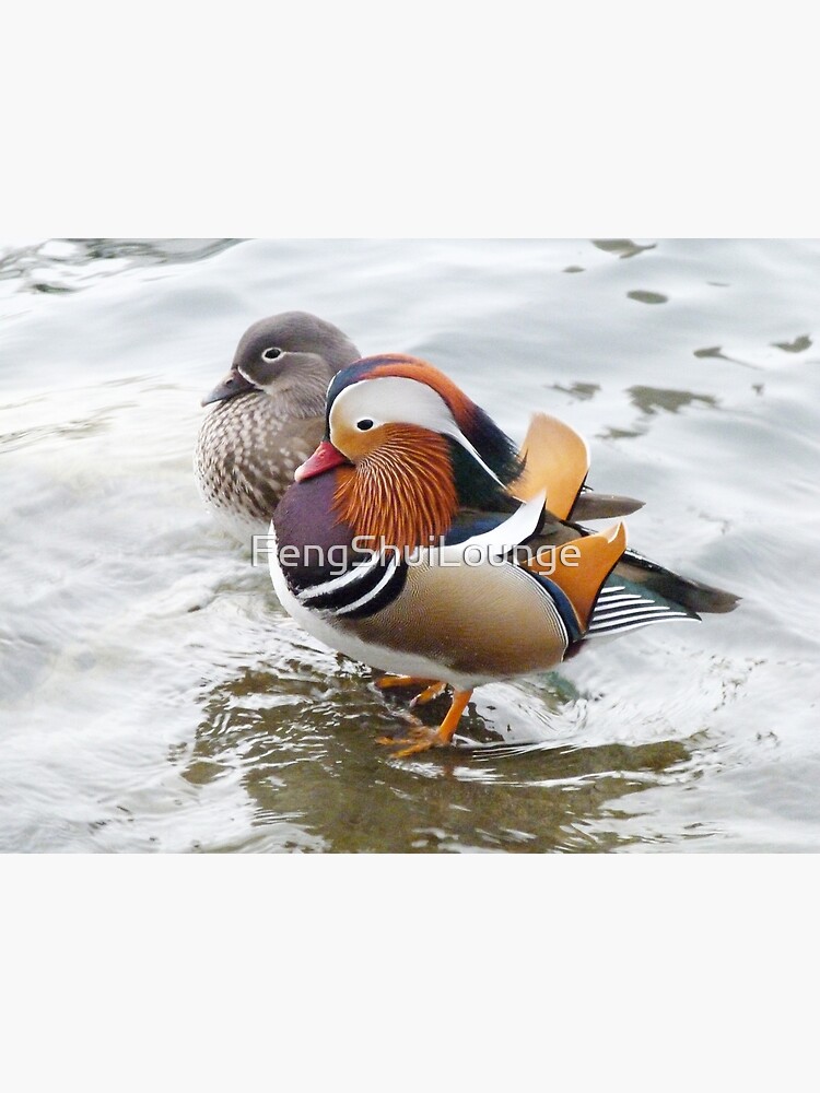 "Bond of Love Mandarin Ducks Feng Shui for Marital Happiness" Poster ...