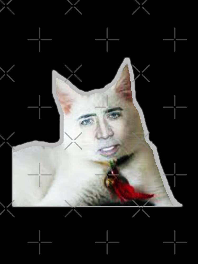 Cat Nicolas Cage My Cat Loves Nick Cage : R/cats