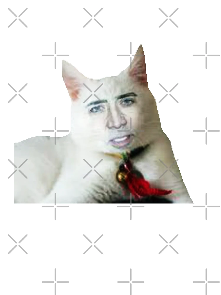 Cat Nicolas Cage My Cat Loves Nick Cage : R/cats