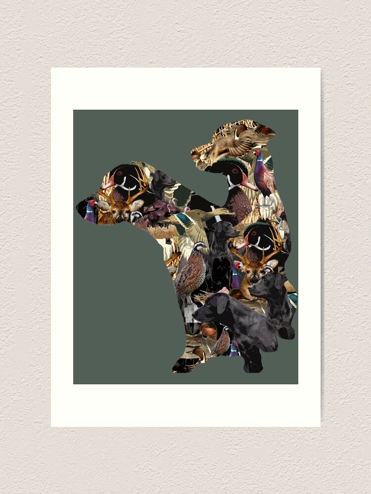 "Labrador Retriever Wildlife Hunting Collage with Duck Hunting, Quail ...