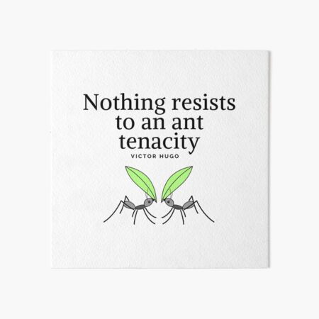 "Victor Hugo - Nothing resists to an ant tenacity - Perseverance ...