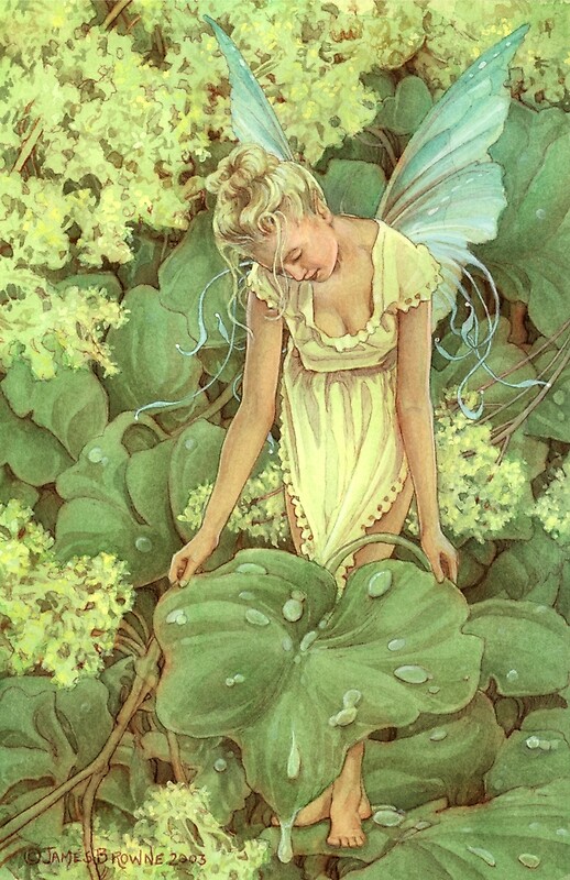 "Dew Fairy" by JamesBrowneArt | Redbubble