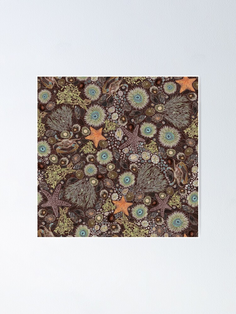 "Tidal Adventure - red background" Poster for Sale by rachelquinlan ...