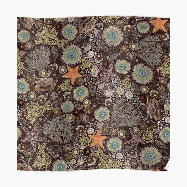 "Tidal Adventure - red background" Poster for Sale by rachelquinlan ...