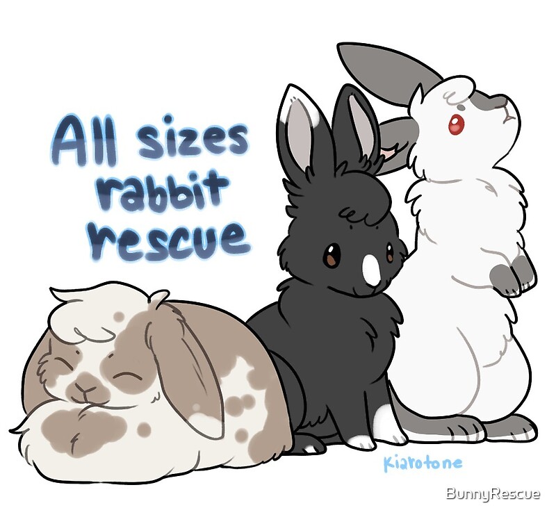 "All Sizes Rabbit Rescue logo" by BunnyRescue | Redbubble