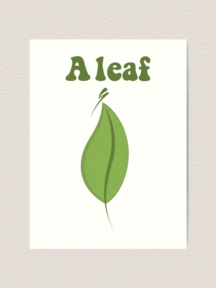 "Aleaf | Alif/aleaf/ألف/أ is the first letter of the Arabic alphabet ...