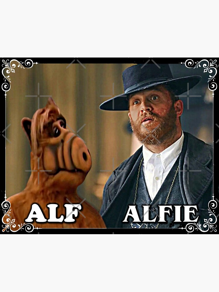 "ALFIE AND ALF" Poster for Sale by coffeecountyjim | Redbubble