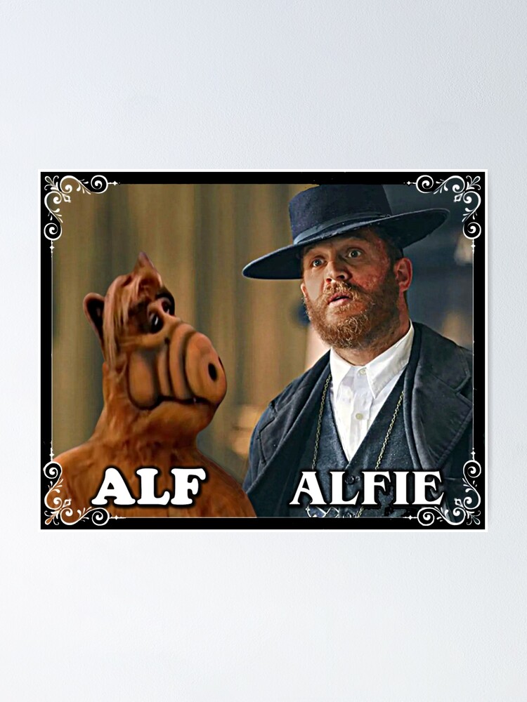 "ALFIE AND ALF" Poster for Sale by coffeecountyjim | Redbubble