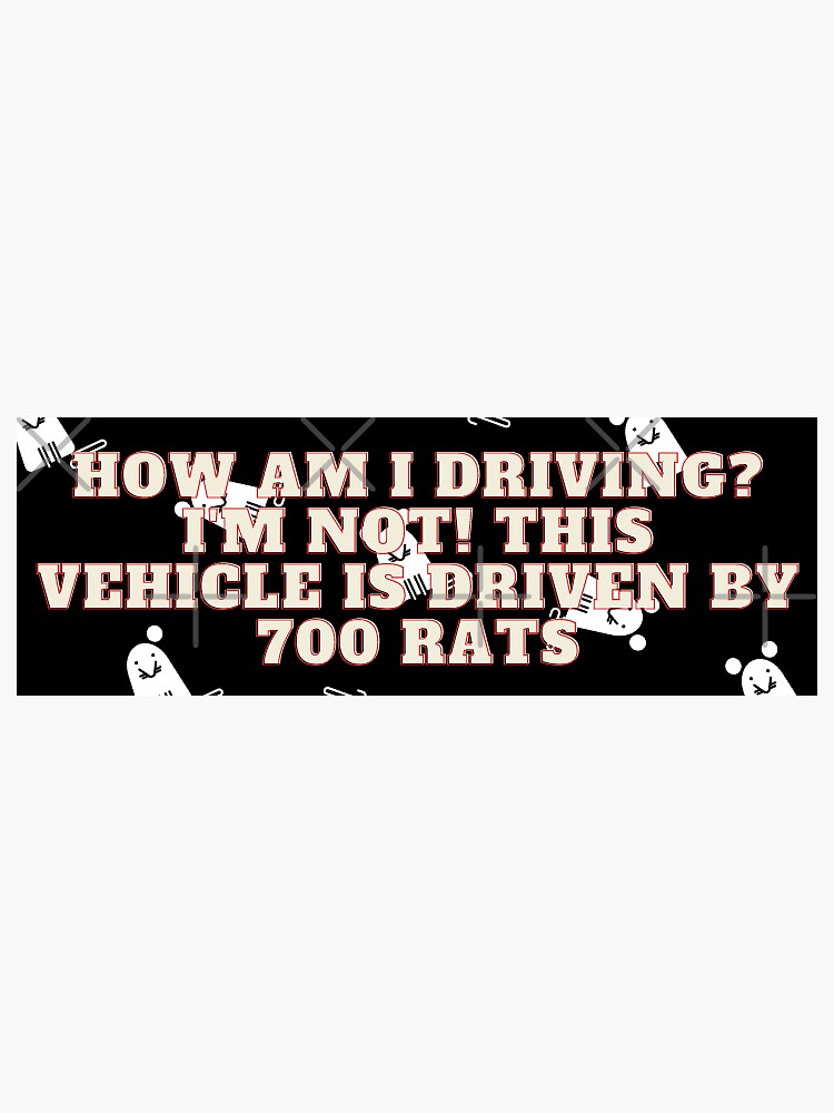 "RATS - Funny Bumper Sticker" Sticker for Sale by Ssimo30 | Redbubble