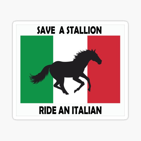 "Save a Stallion Ride an Italian Flag Funny Italian Heritage Quote ...