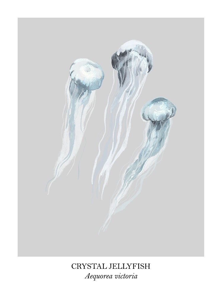 "Crystal Jellyfish | Bone Grey | Watercolour Sea Creature" Poster for ...