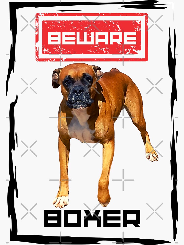 "Boxer Photography and Frame" Sticker for Sale by MediaPetBrazil ...