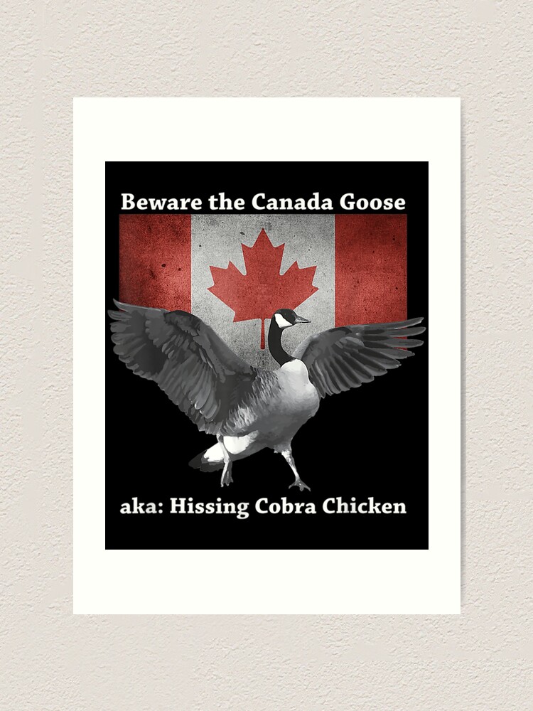 "Beware The Hissing Cobra Chicken Aka Canadian Goose" Art Print for ...